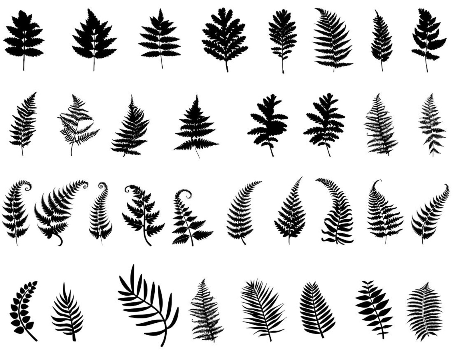 Fern Leaves Svg, Fern Cricut, Fern Svg Bundle, Fern Leaf SVG, Fern ...