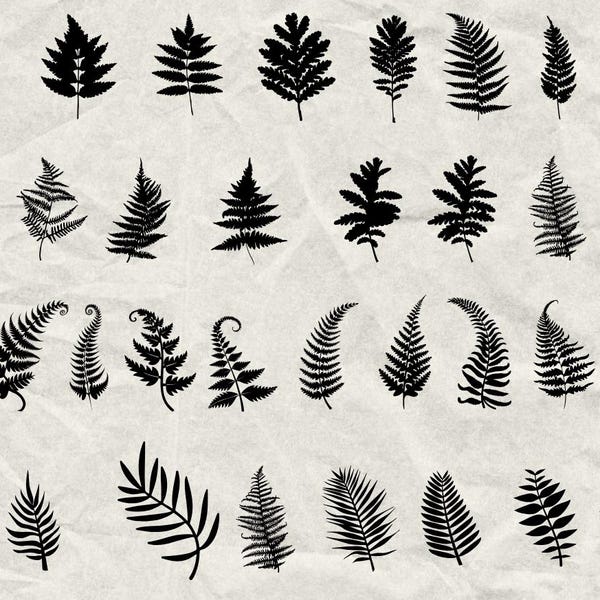 Fern Svg - Etsy