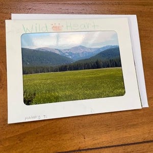 Children's Greeting Cards, Cute Animal Card Set, Greeting Cards Made by ...