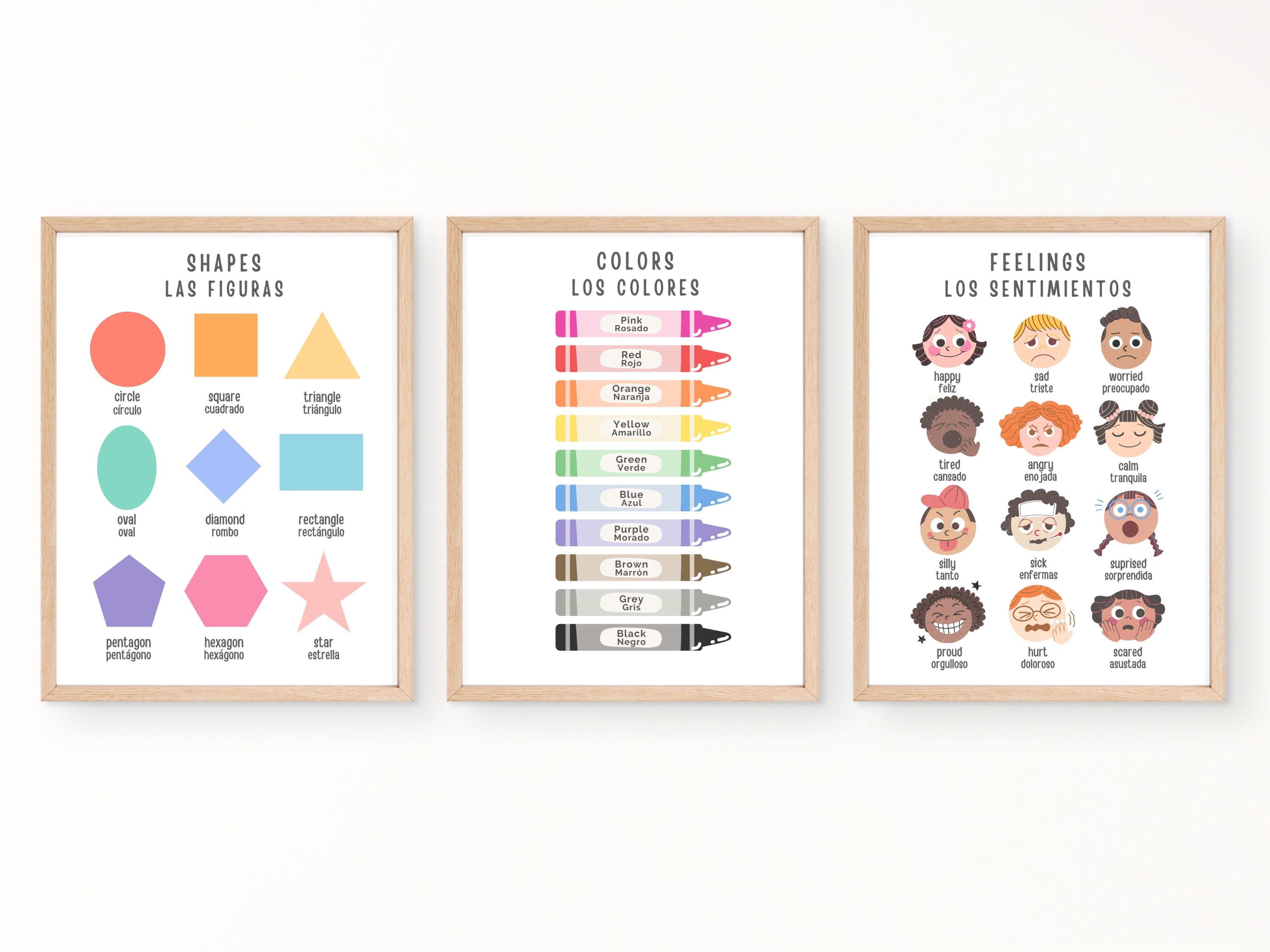 Bilingual Educational Posters, English and Spanish, Toddler Bedroom ...