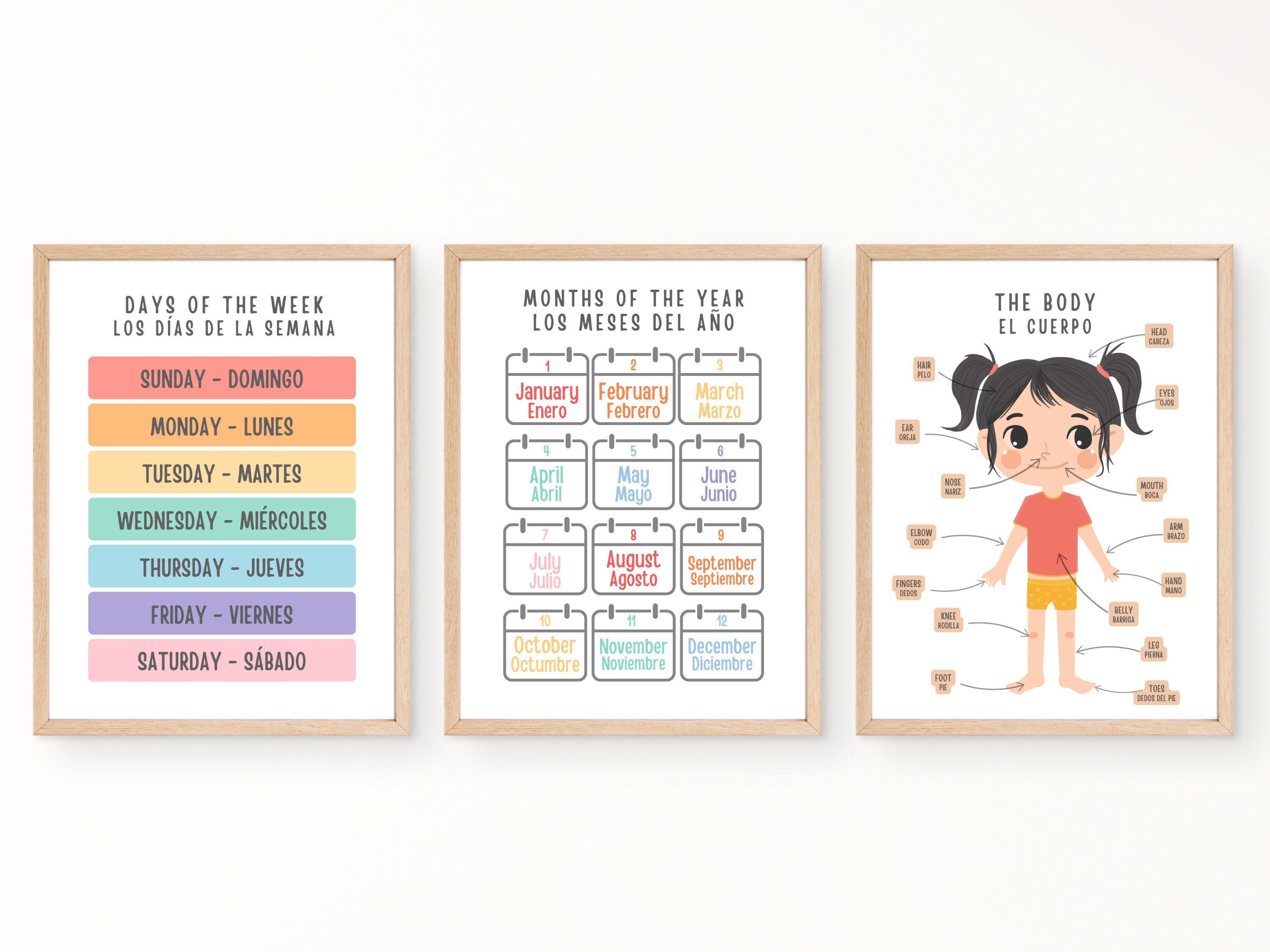 Bilingual Educational Posters, English and Spanish, Toddler Bedroom ...