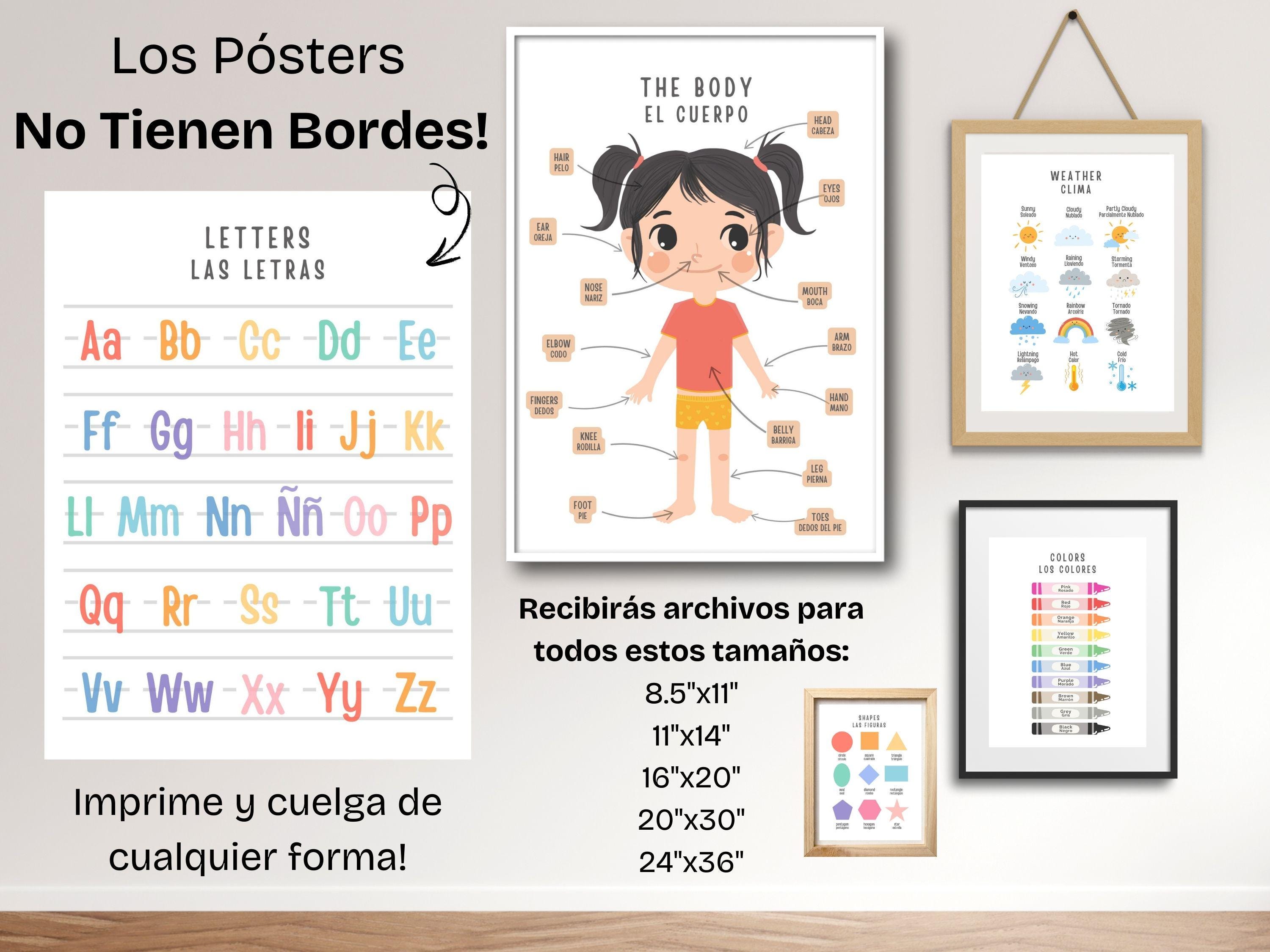 Bilingual Educational Posters, English and Spanish, Toddler Bedroom ...