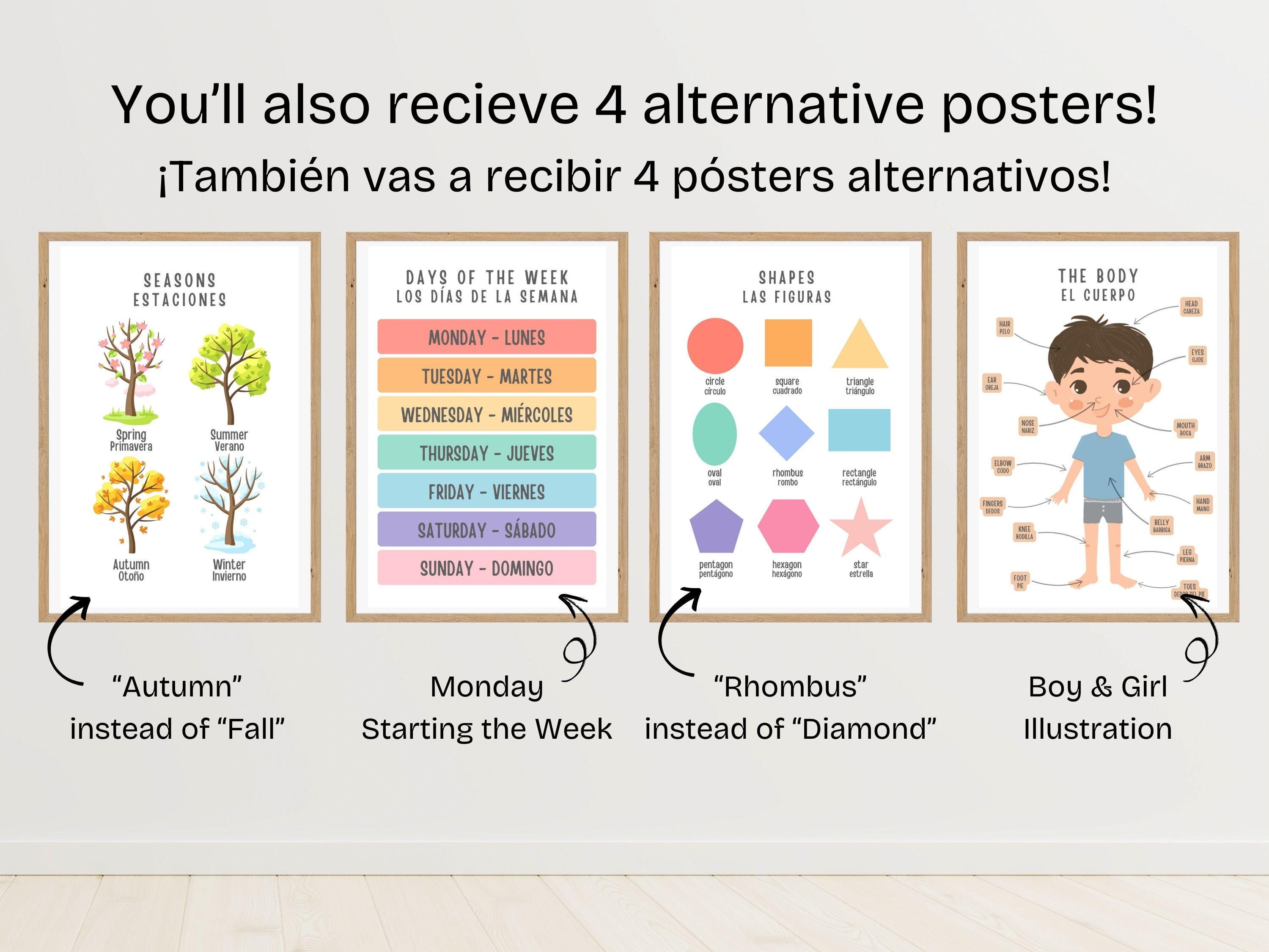 Bilingual Educational Posters, English and Spanish, Toddler Bedroom ...