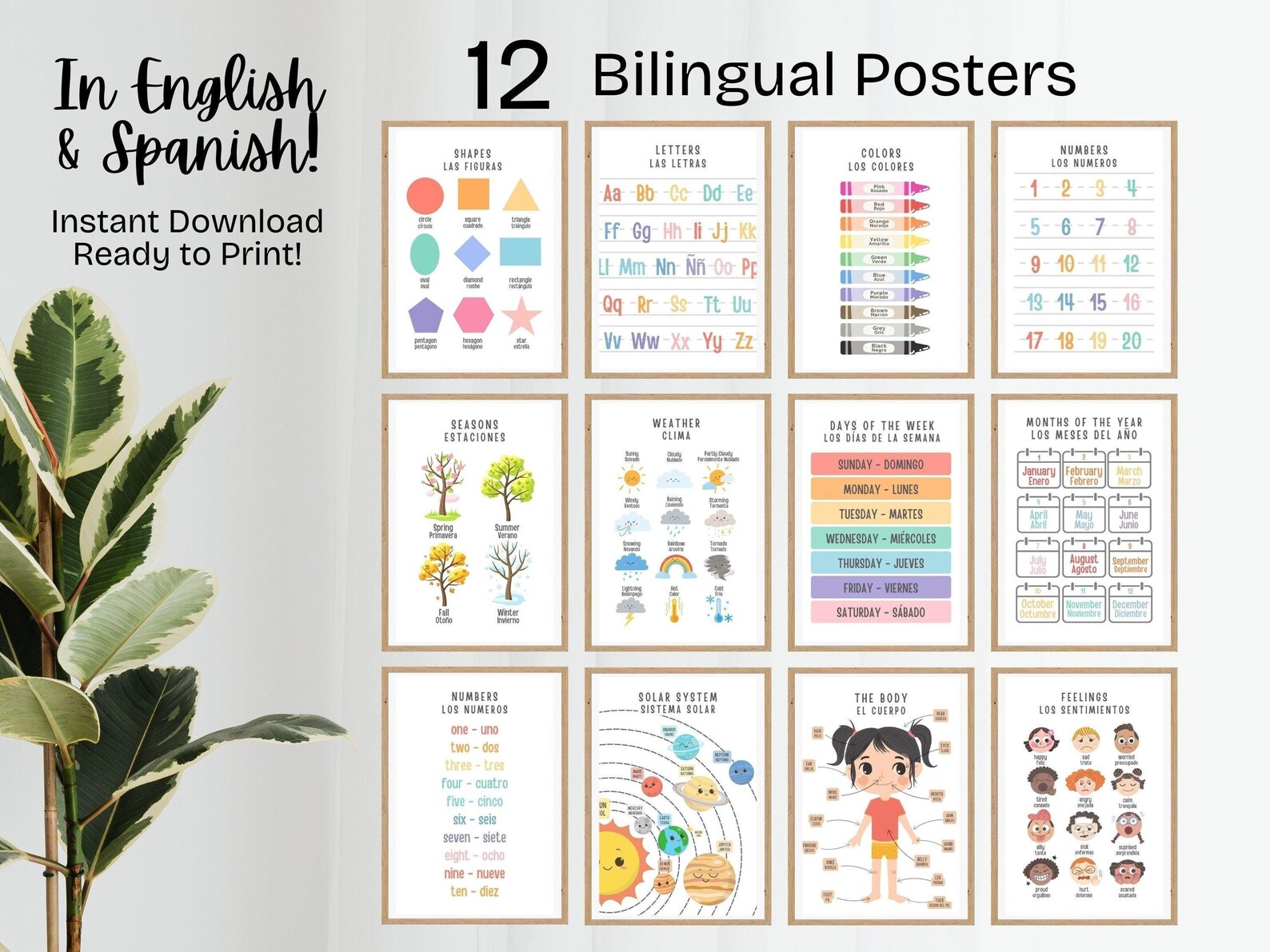 Bilingual Educational Posters, English and Spanish, Toddler Bedroom ...