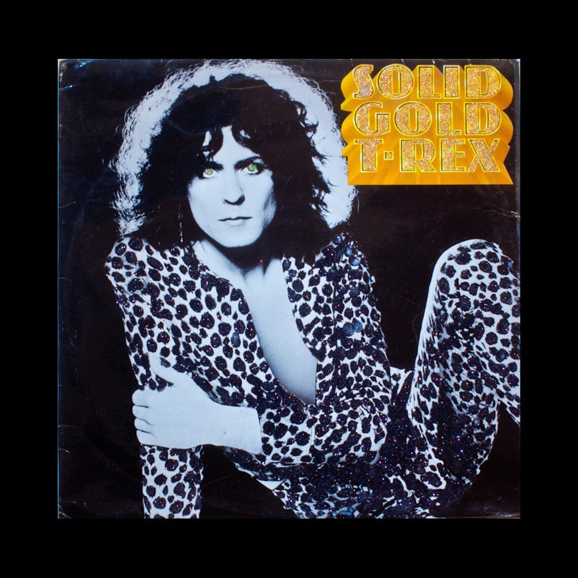 Glittered T-rex Solid Gold Album - Etsy