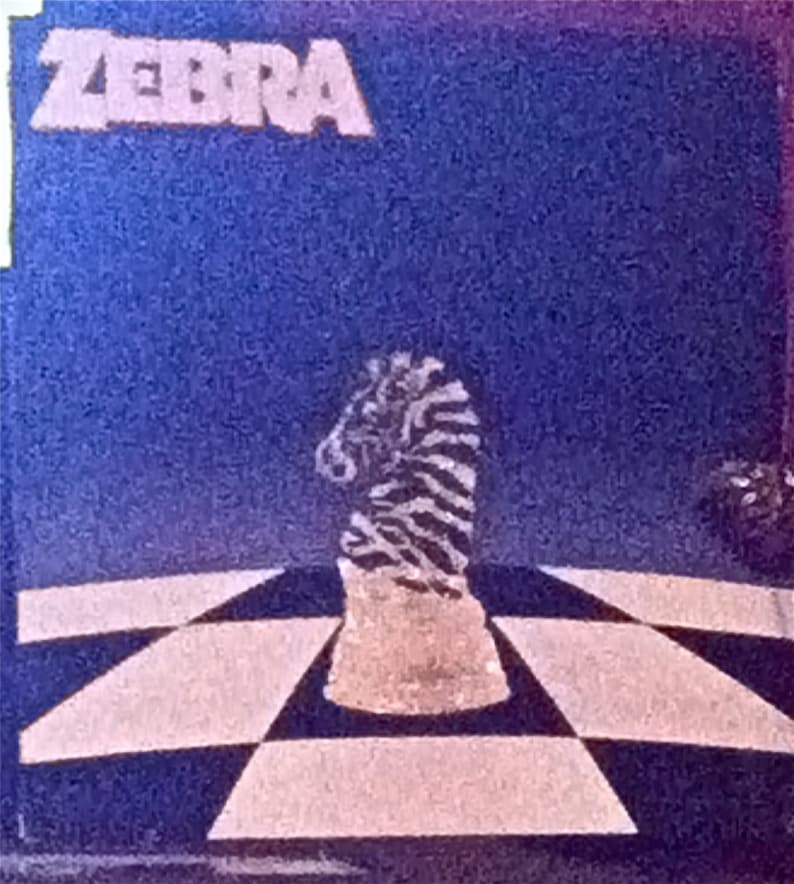 Glittered Zebra Album - Etsy