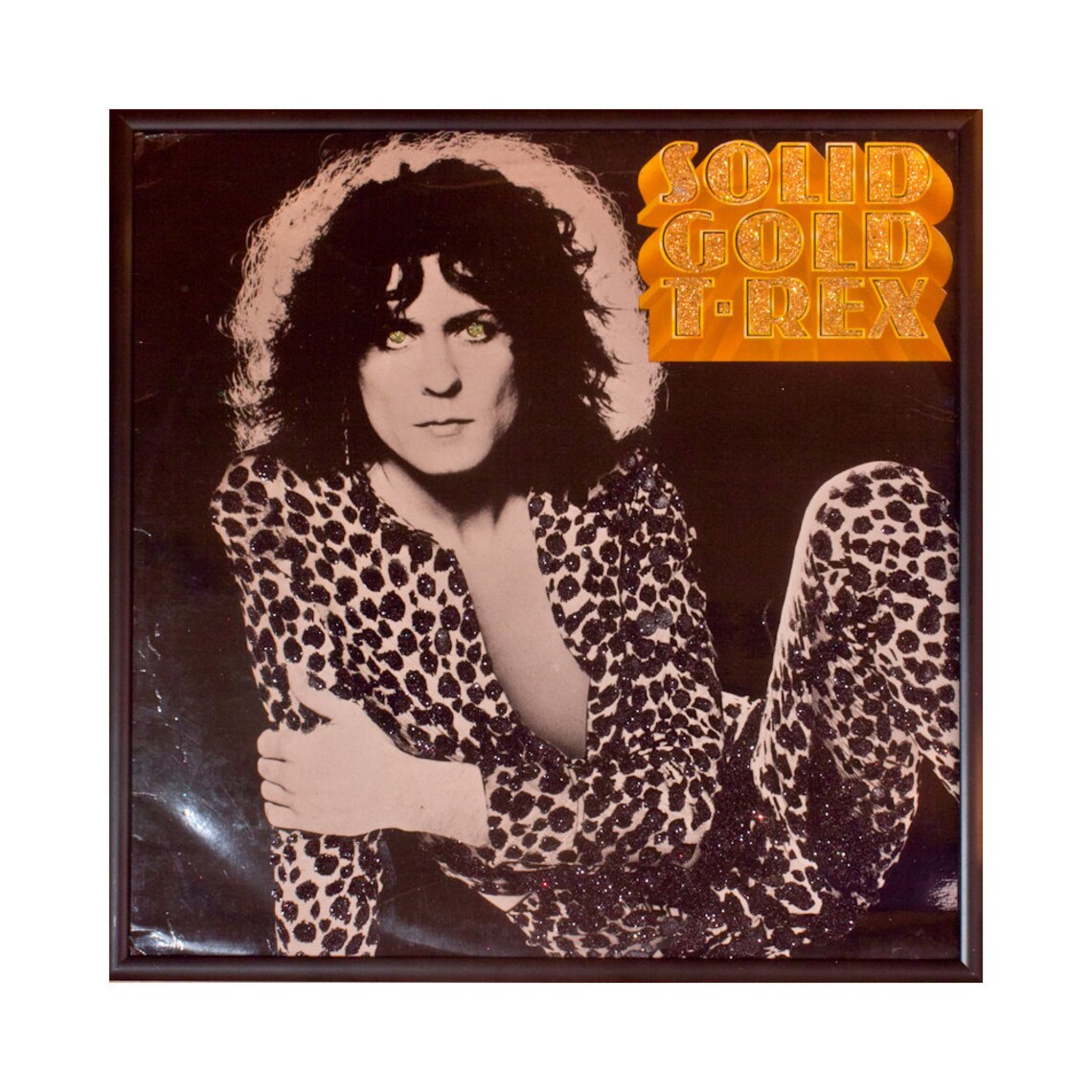 Glittered T-rex Solid Gold Album - Etsy