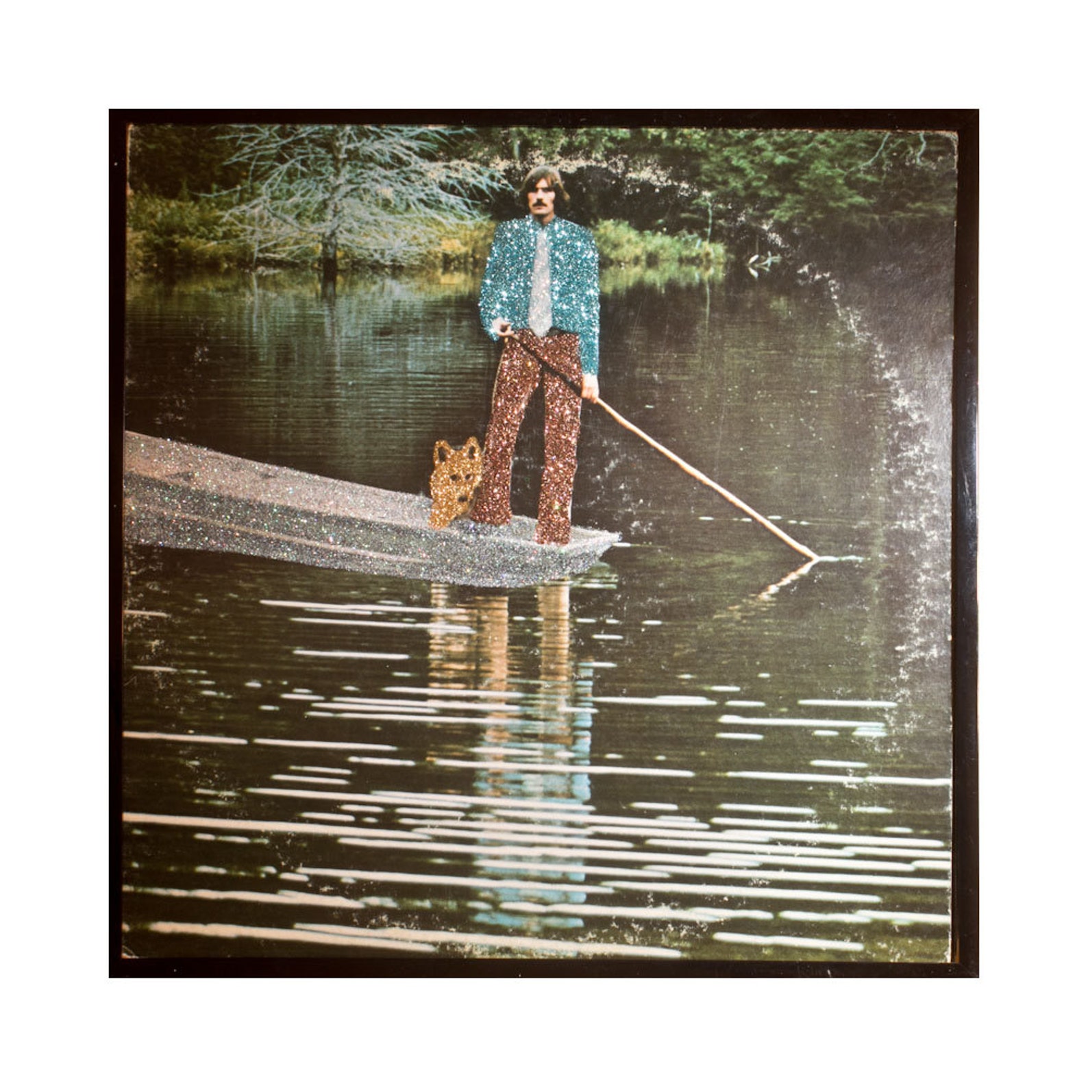 Glittered James Taylor dog Album - Etsy