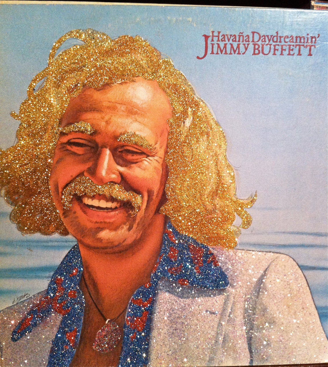 Glittered Jimmy Buffett Album - Etsy