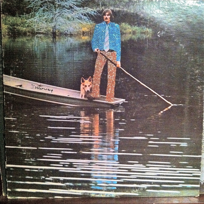Glittered James Taylor dog Album - Etsy