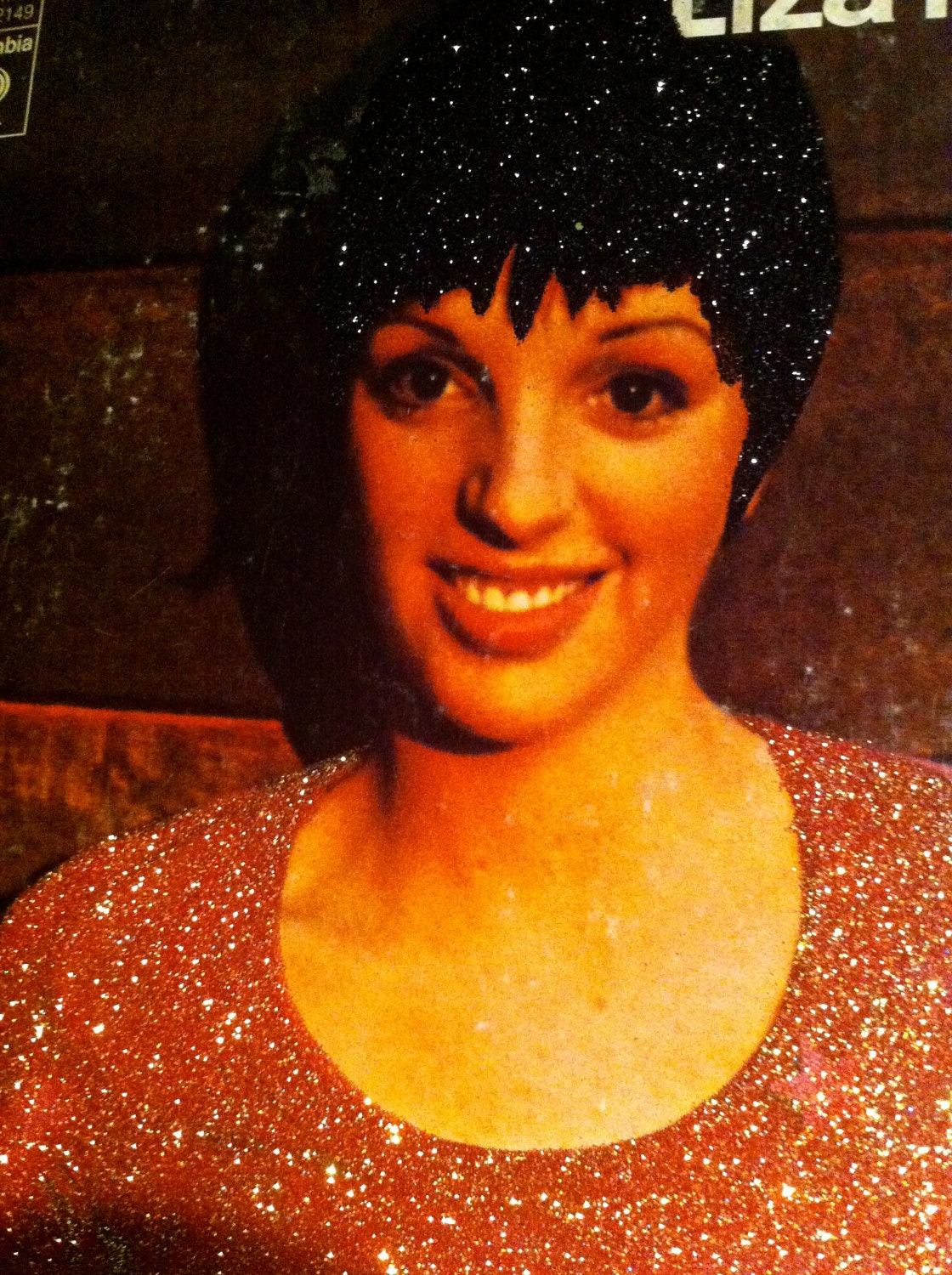 Glittered Liza Minelli The Singer Album Etsy