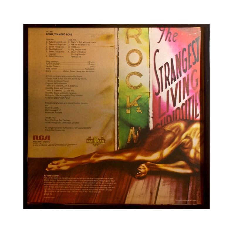 Glittered David Bowie Diamond Dogs Album - Etsy