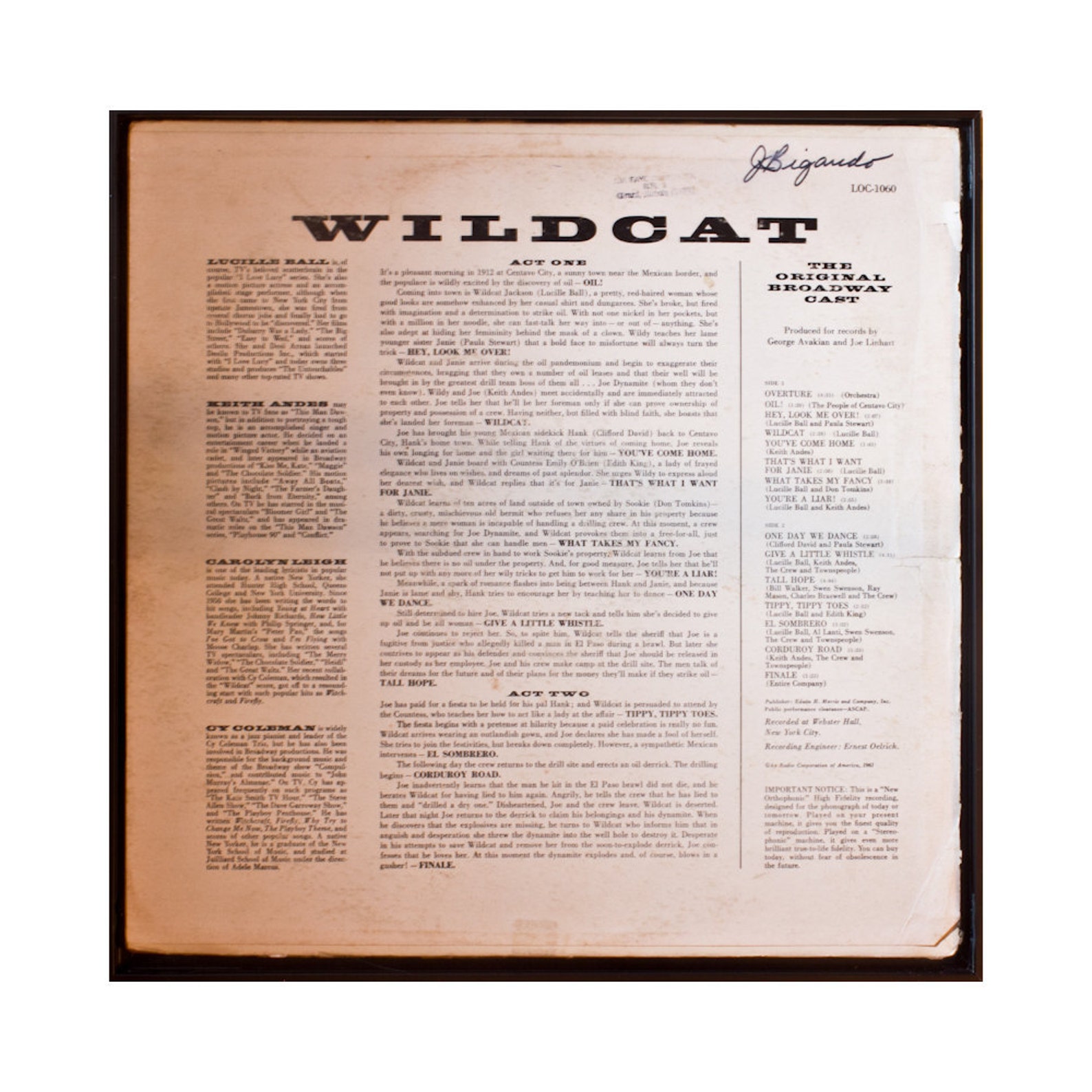 Glittered Lucille Ball Wildcat Album - Etsy