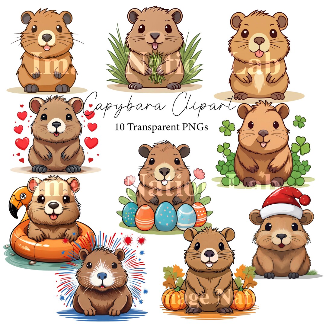 Cute Capybara Kawaii Clipart Digital Download, Transparent Pngs ...