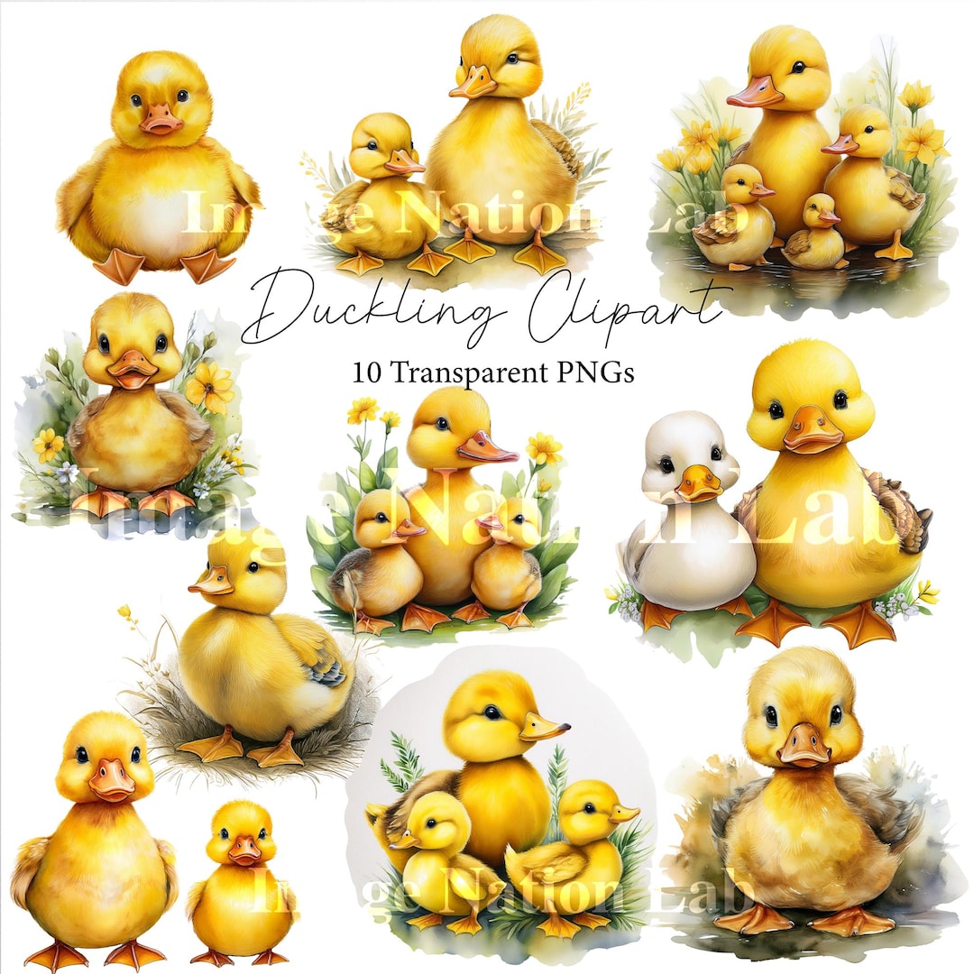 Duckling Clip Art, Digital Download Transparent PNG, Cute Duckling ...