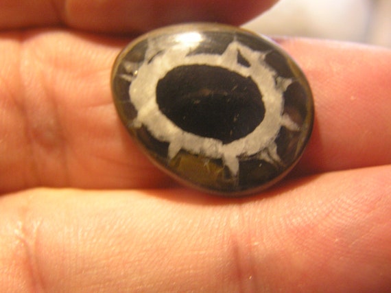 Septarian Nodule Slice Freeform Designer Cabochon Jewelry & Beauty ...