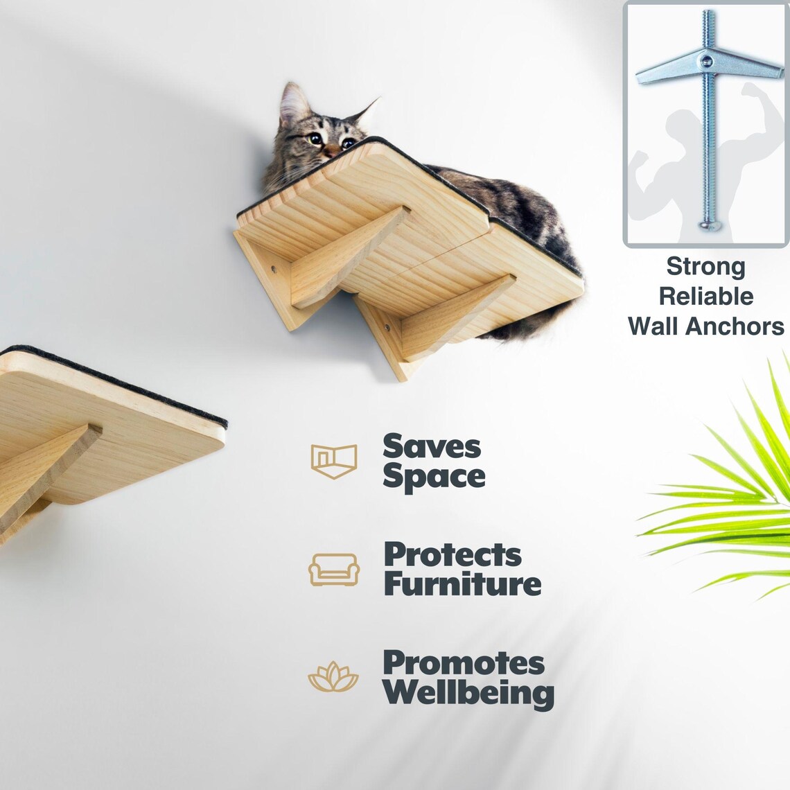 Cat Wall Shelves With Strong Wall Anchors Cat Shelves for Wall Set of 4 ...