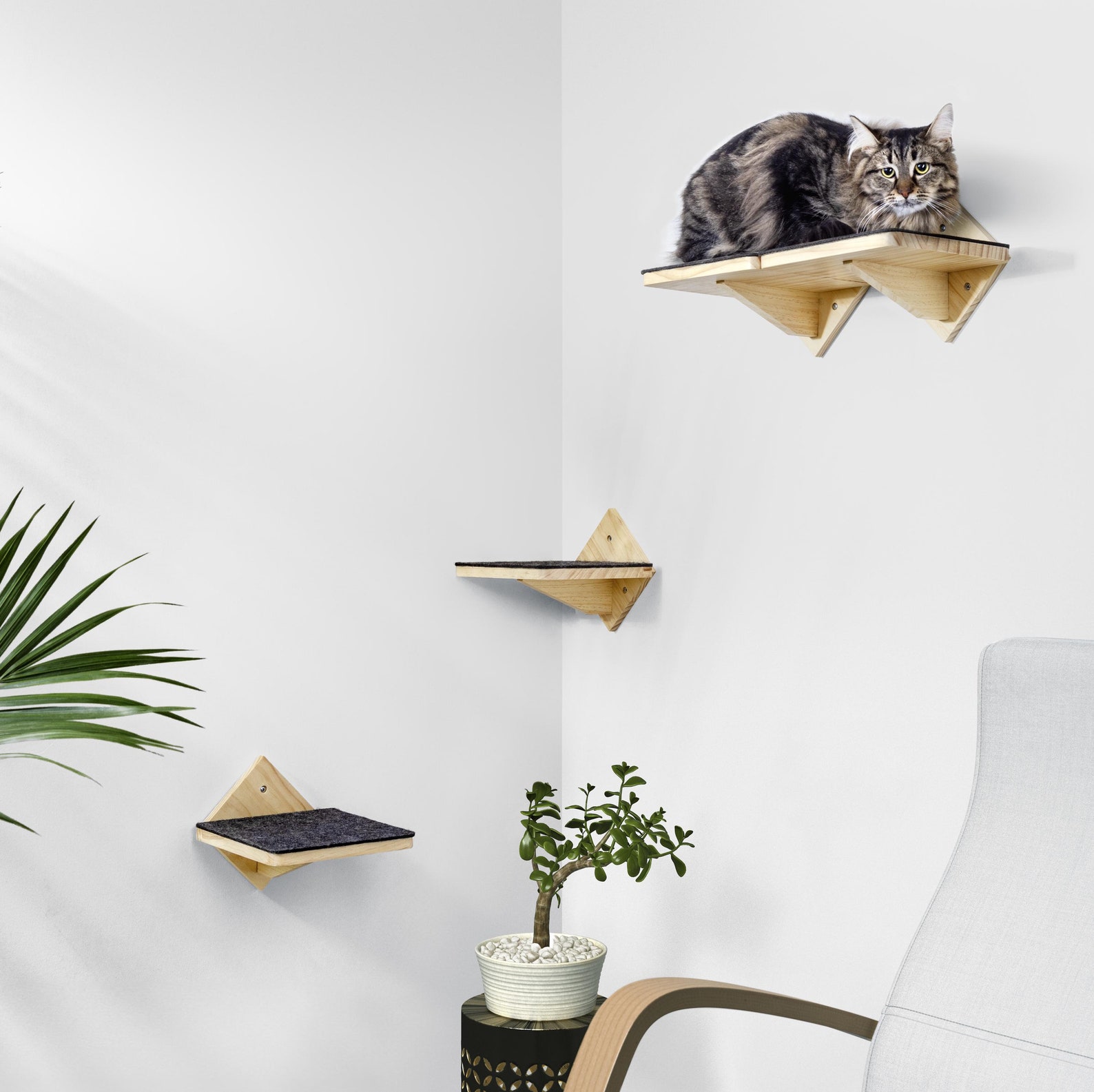 Cat Wall Shelves With Strong Wall Anchors Cat Shelves for Wall Set of 4 ...
