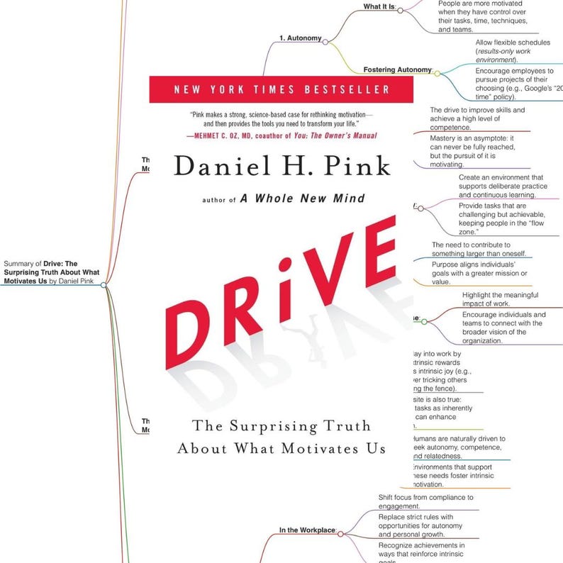 4K Mind Map Summary of the Book 'drive: the Surprising Truth About What ...