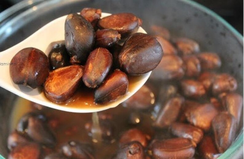 Authentic Haitian Labapen (breadfruit Seeds) | Pre-boiled & Ready to ...