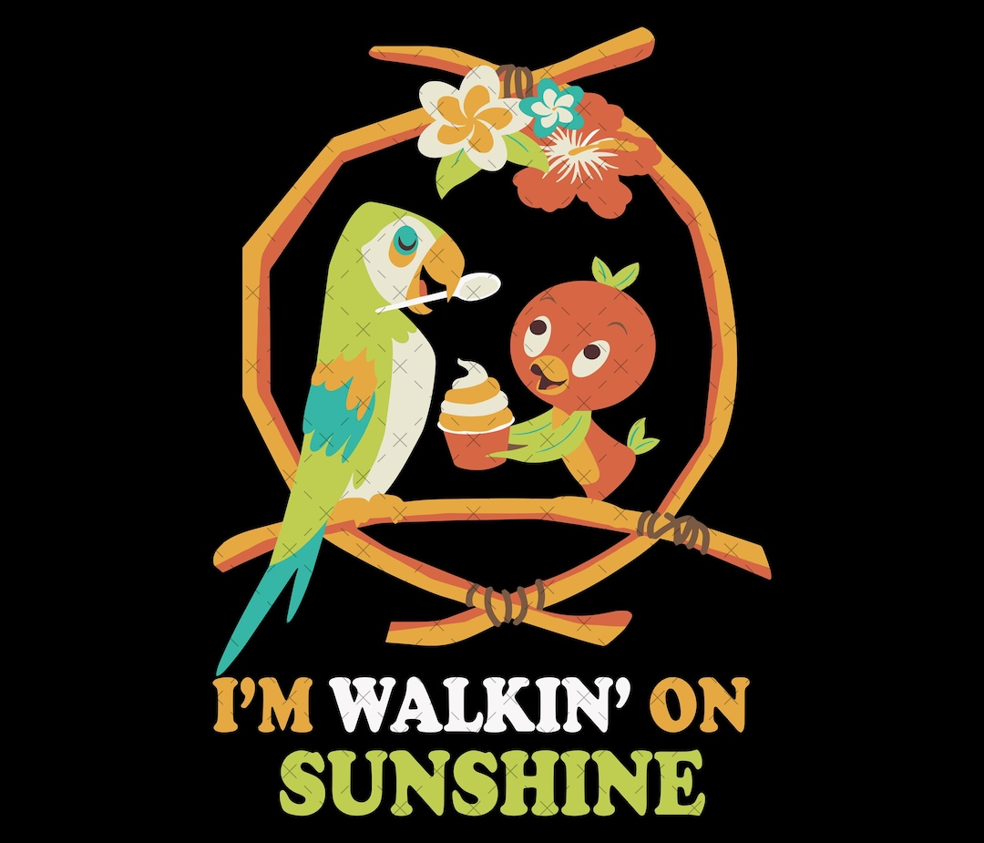 I'm Walkin' on Sunshine Png Svg, Orange Bird Svg, Snacks Svg, Family ...