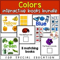 Let's Make a Fruit Salad! an Adapted and Interactive Book- DIGITAL ...