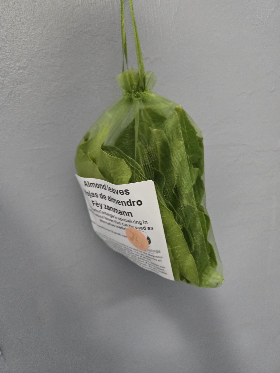 Fresh Almond Leaves ( Hojas De Almendro/ Fèy Zanmann) - All Natural - Etsy