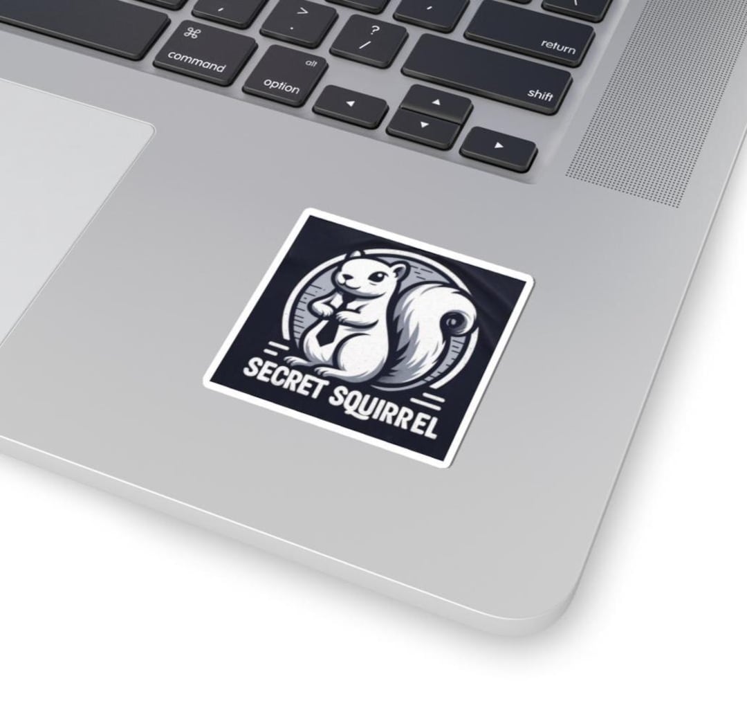 Secret Squirrel Sticker for Military, Intelligence, Government, or Spy ...