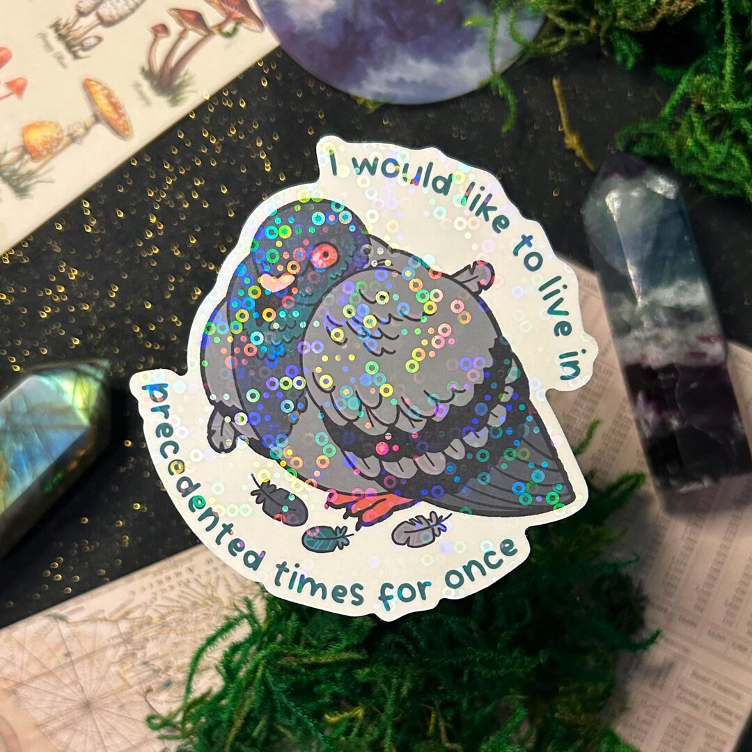 Funny Pigeon Sticker | Holographic | Laptop & Journal Accessories - Etsy