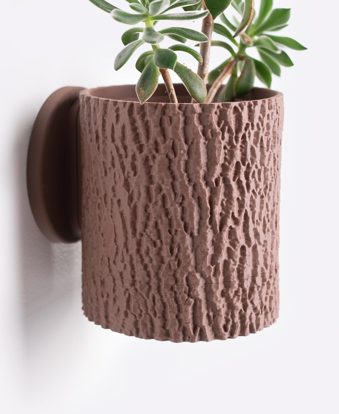 Tree Bark Planter With Hidden Drip Tray/hanging Wall Pot/wall Mounted ...