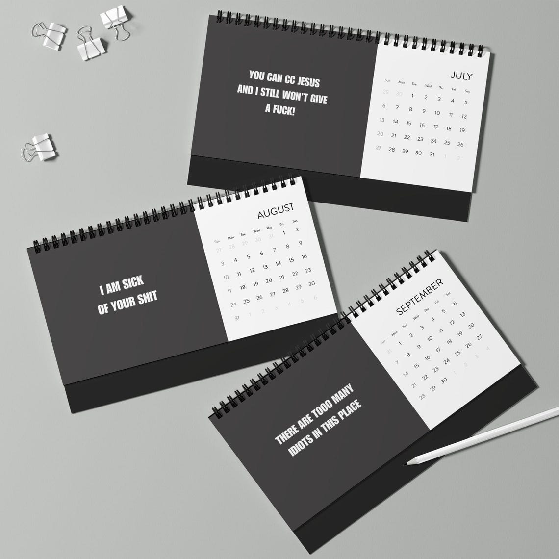 Funny Desktop Calendar 2025 - Office Humor, Gift for Coworkers, Desk ...