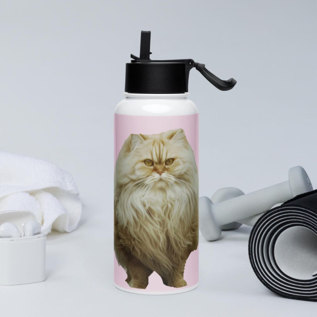 Fancy Feline Stainless Steel Water Bottle With a Straw Lid - Etsy