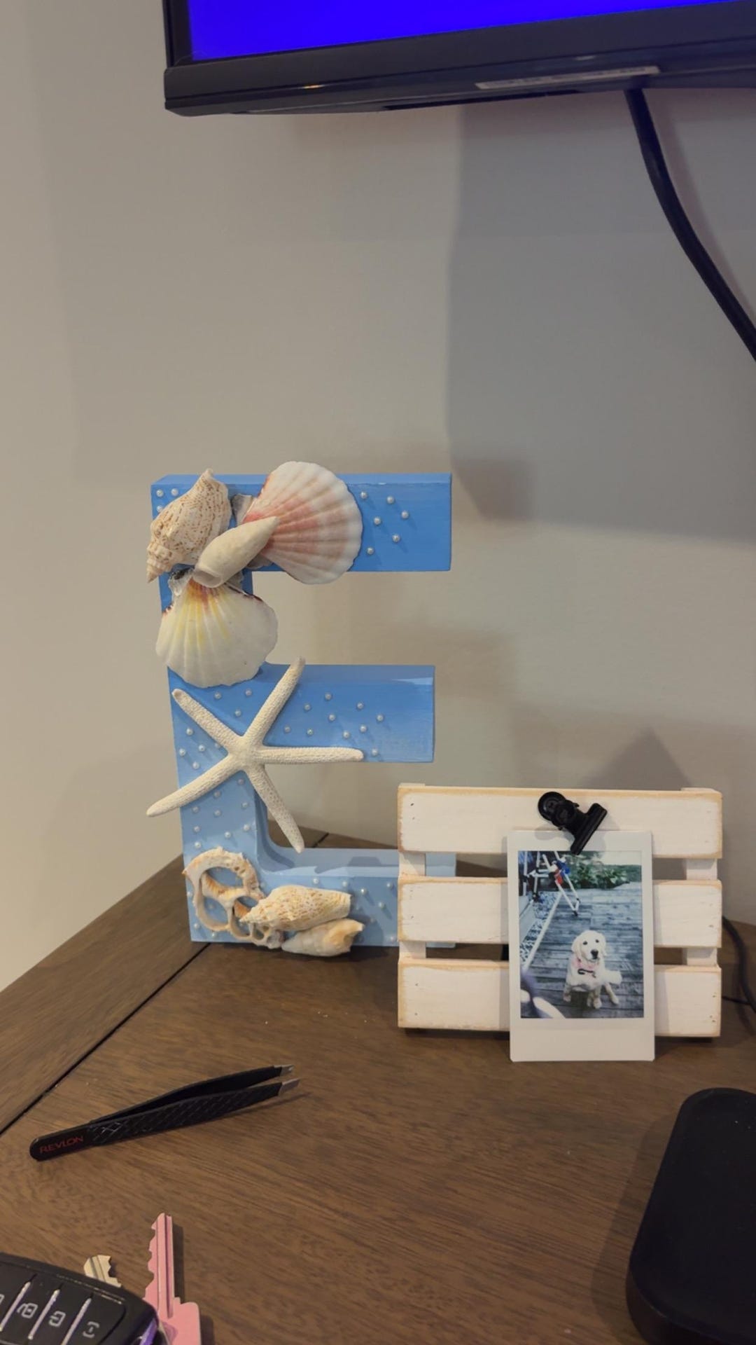 Beachy Coastal Theme Letter Sign!! - Etsy