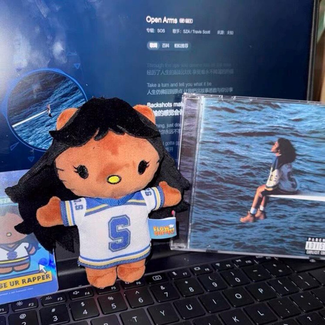 SZA Kitty Keychain, SZA Kitty Plushie Pendant, S.O.S Album Inspired ...
