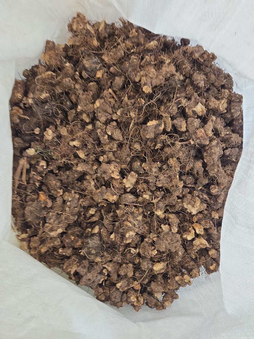 White Stone Root. - Etsy Canada