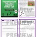 History of the Women's World Cup READING COMPREHENSION | Women in ...
