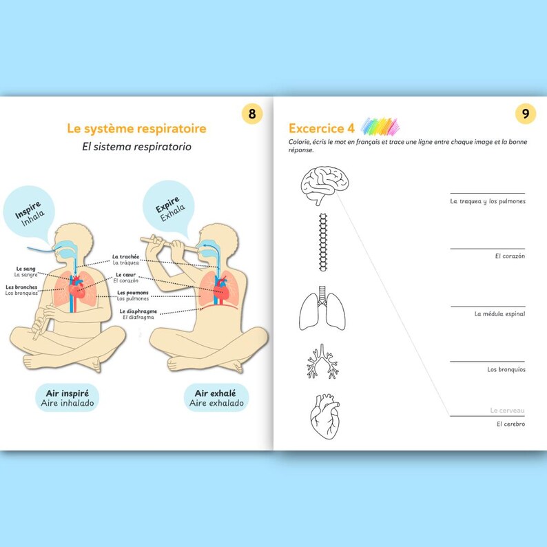 French Spanish Body Vocabulary: Coloring Activities (PDF/PNG) - Etsy