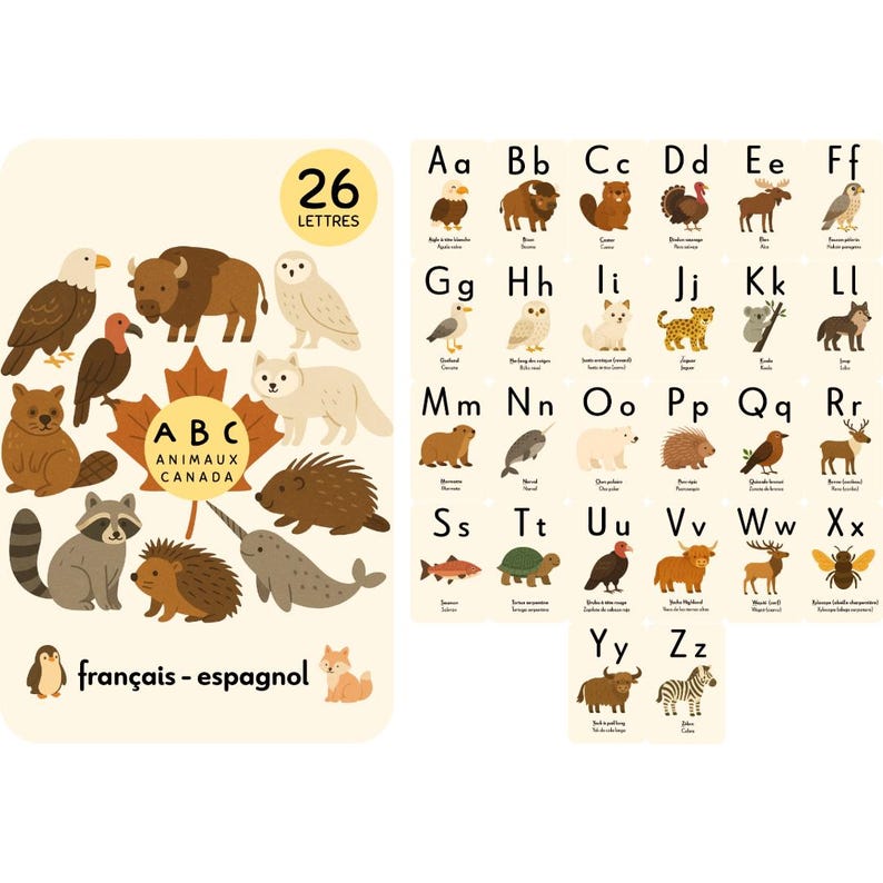 Canadian Animals Flashcards: Bilingual French Spanish ABC (PDF + PNG ...