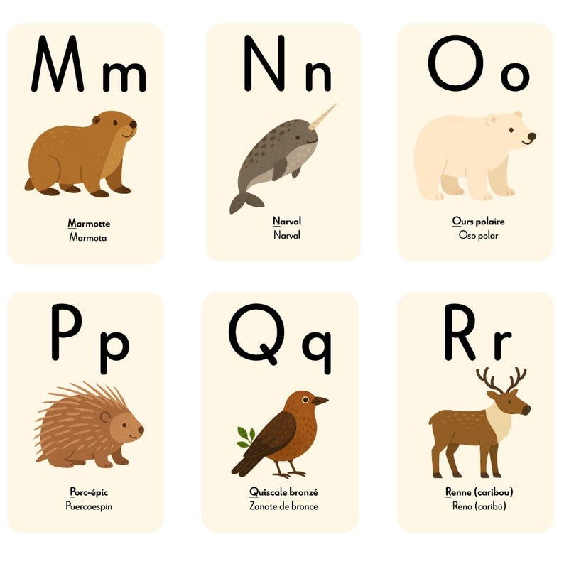 Canadian Animals Flashcards: Bilingual French Spanish ABC (PDF + PNG ...