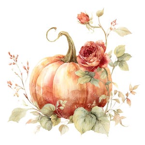 20 Elegant Floral Pumpkin Clipart, Thanksgiving, Fall Design Elements ...