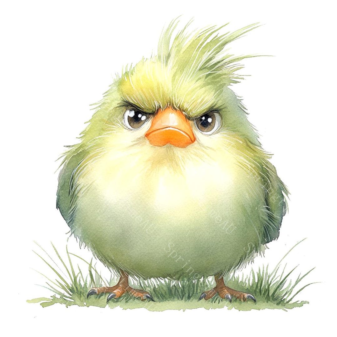 16 Grumpy Bird Clipart, Wonderful Birds, Cute Fluffy Birds, Printable ...