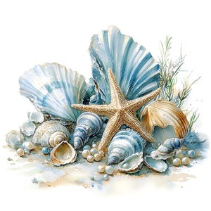 18 Gorgeous Sea Shells Clipart, Seashell Clipart, Ocean Sea Clipart ...