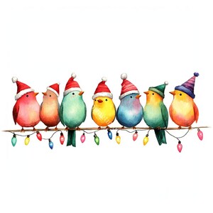 16 Whimsical Christmas Birds Clipart, Cute Funny Bird, Christmas Card ...