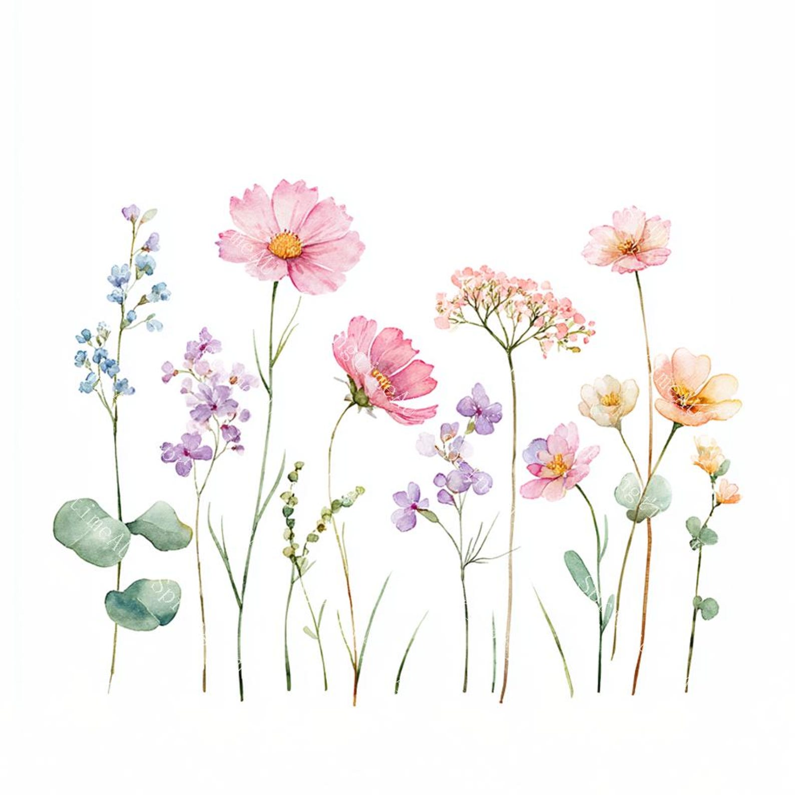 18 Pastel Wildflower Clipart, Wildflower Border Clipart, Printable ...