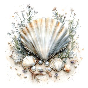 18 Gorgeous Sea Shells Clipart, Seashell Clipart, Ocean Sea Clipart ...
