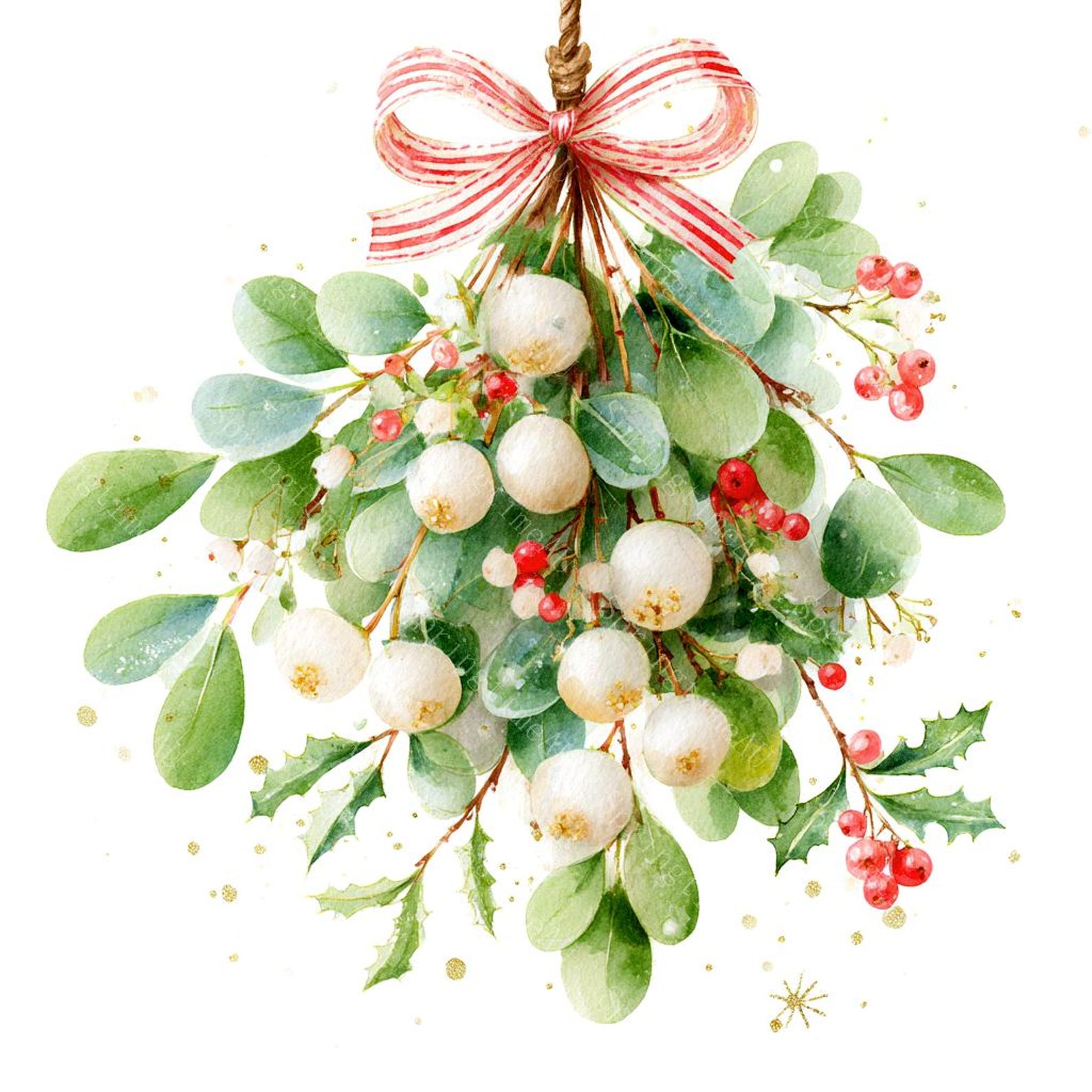 18 Mistletoe Christmas Clipart, Winter Botanical, Vintage Mistletoe ...