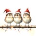 16 Whimsical Christmas Birds Clipart, Cute Funny Bird, Christmas Card ...