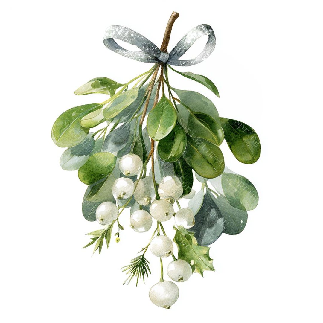18 Mistletoe Christmas Clipart, Winter Botanical, Vintage Mistletoe ...