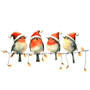16 Whimsical Christmas Birds Clipart, Cute Funny Bird, Christmas Card ...