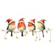16 Whimsical Christmas Birds Clipart, Cute Funny Bird, Christmas Card ...
